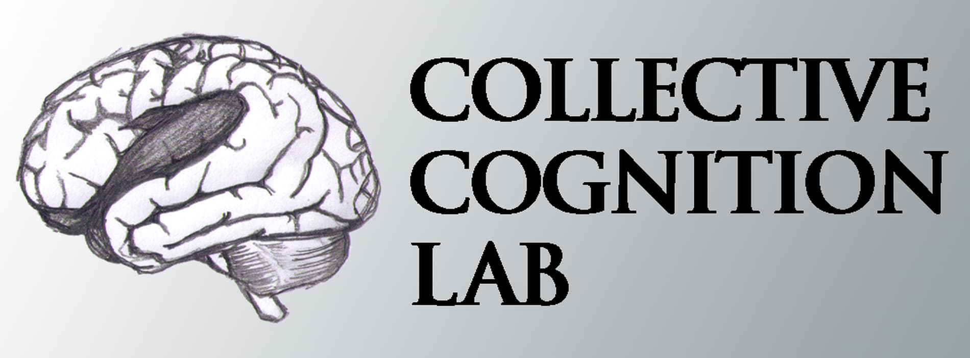 Collective Cognition Lab